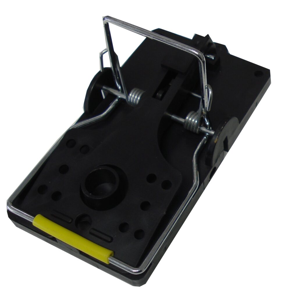 Traditional mouse trap – Aldef Global