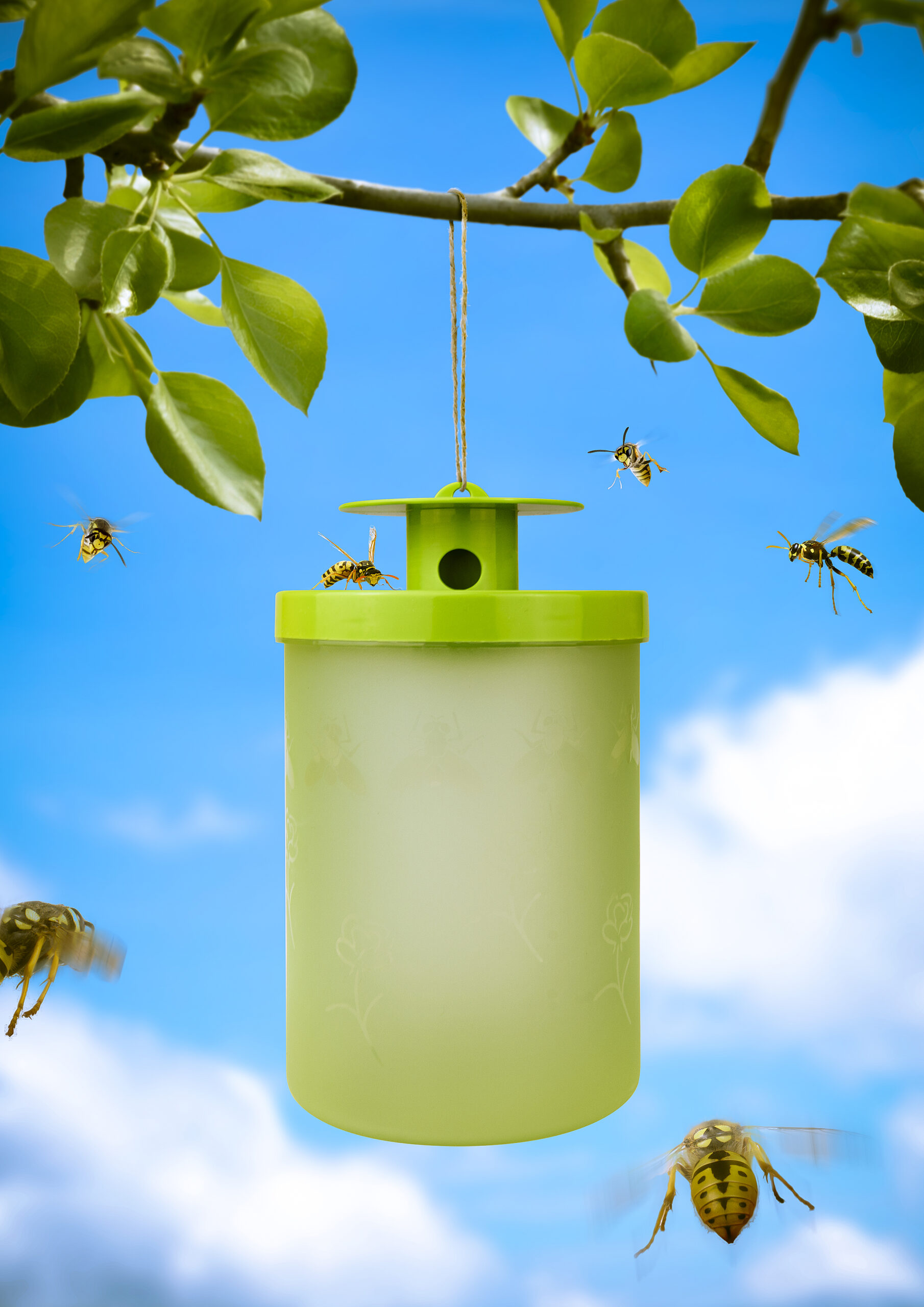 Pest Control – Aldef Global